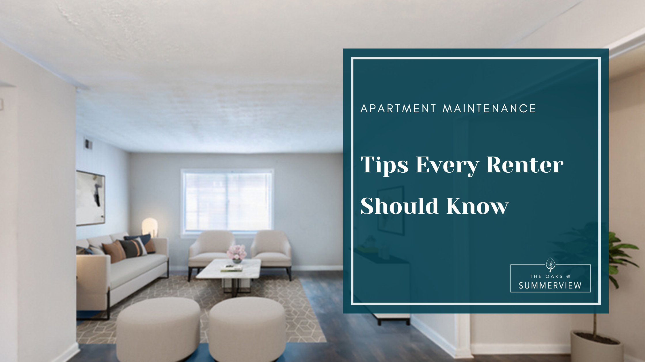 Essential Apartment Maintenance Tips for Every Renter